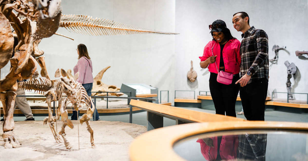 Denver Museum of Nature and Science